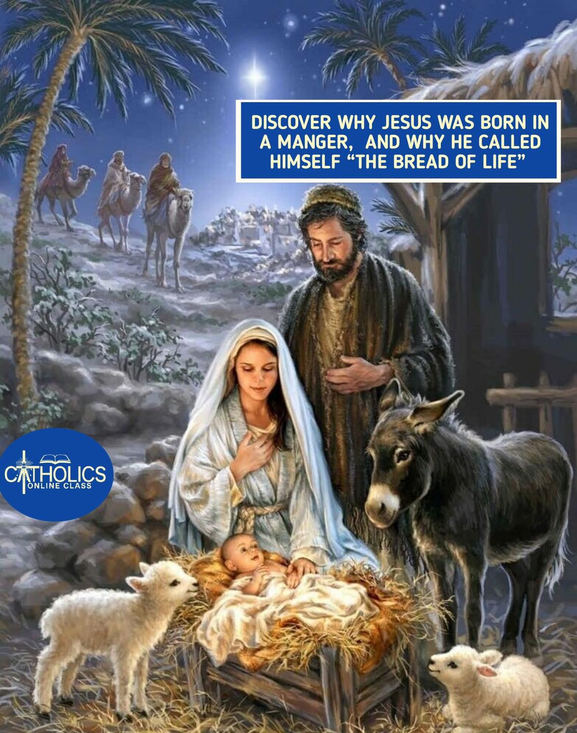 St. - 🍞 DISCOVER WHY JESUS WAS BORN IN A MANGER, AND WHY HE CALLED ...