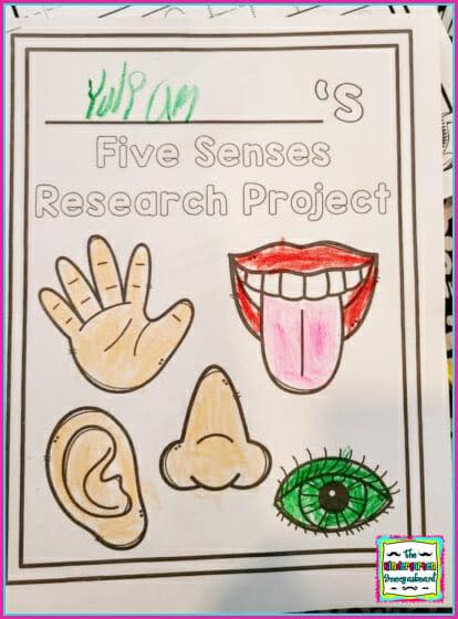 Our Five Senses Research... - Kindergarten Smorgasboard | Facebook