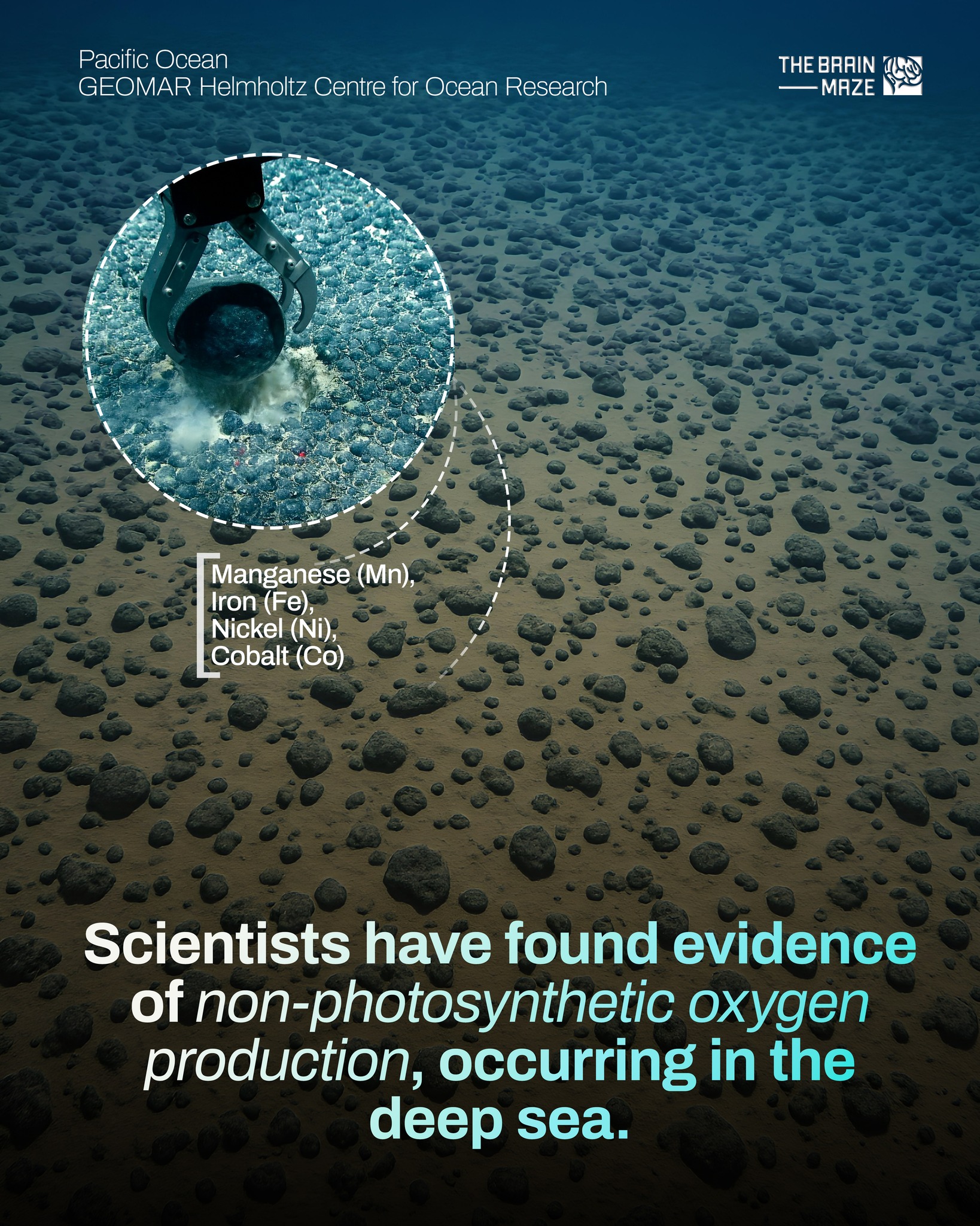 The Brain Scientists Have Discovered That Certain Metal Nodules On