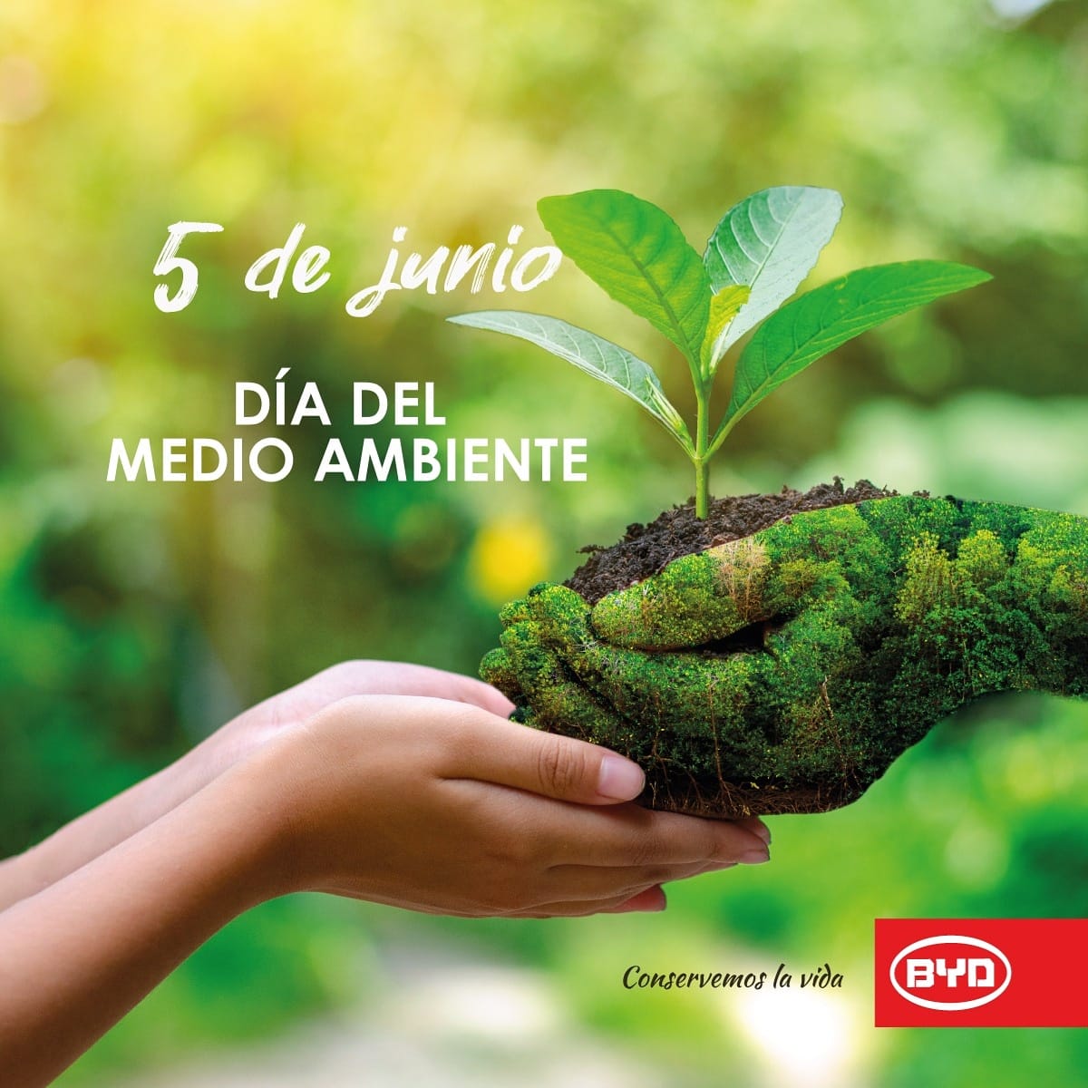 BYD Chile - En el Día Mundial del Medio Ambiente, tomemos... | Facebook