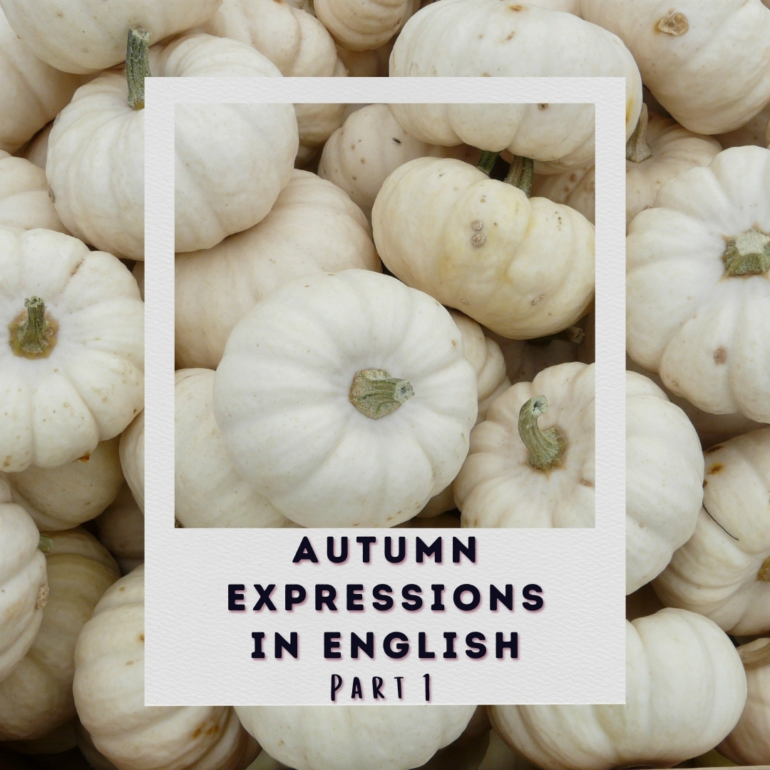 🍁 Autumn Themed Expressions 🍂... - Englishwithsamantha