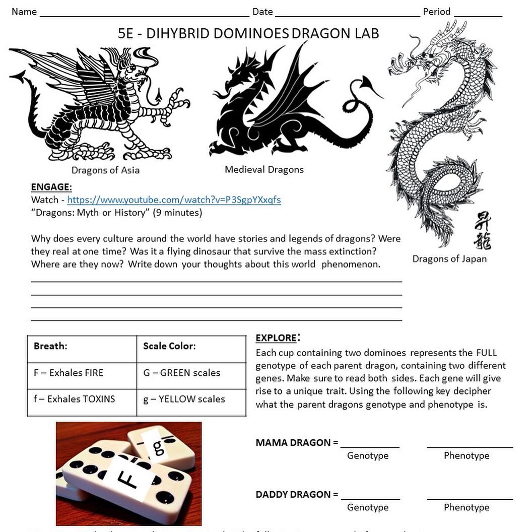 NEW on my @teacherspayteachers 🎉 A... - Holenchambersbiology | Facebook