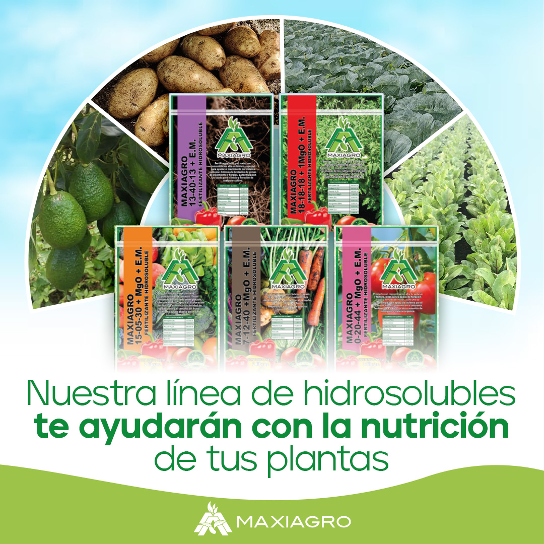 Maxiagro 💧🌿 Descubre El Poder De Nuestros Fertilizantes