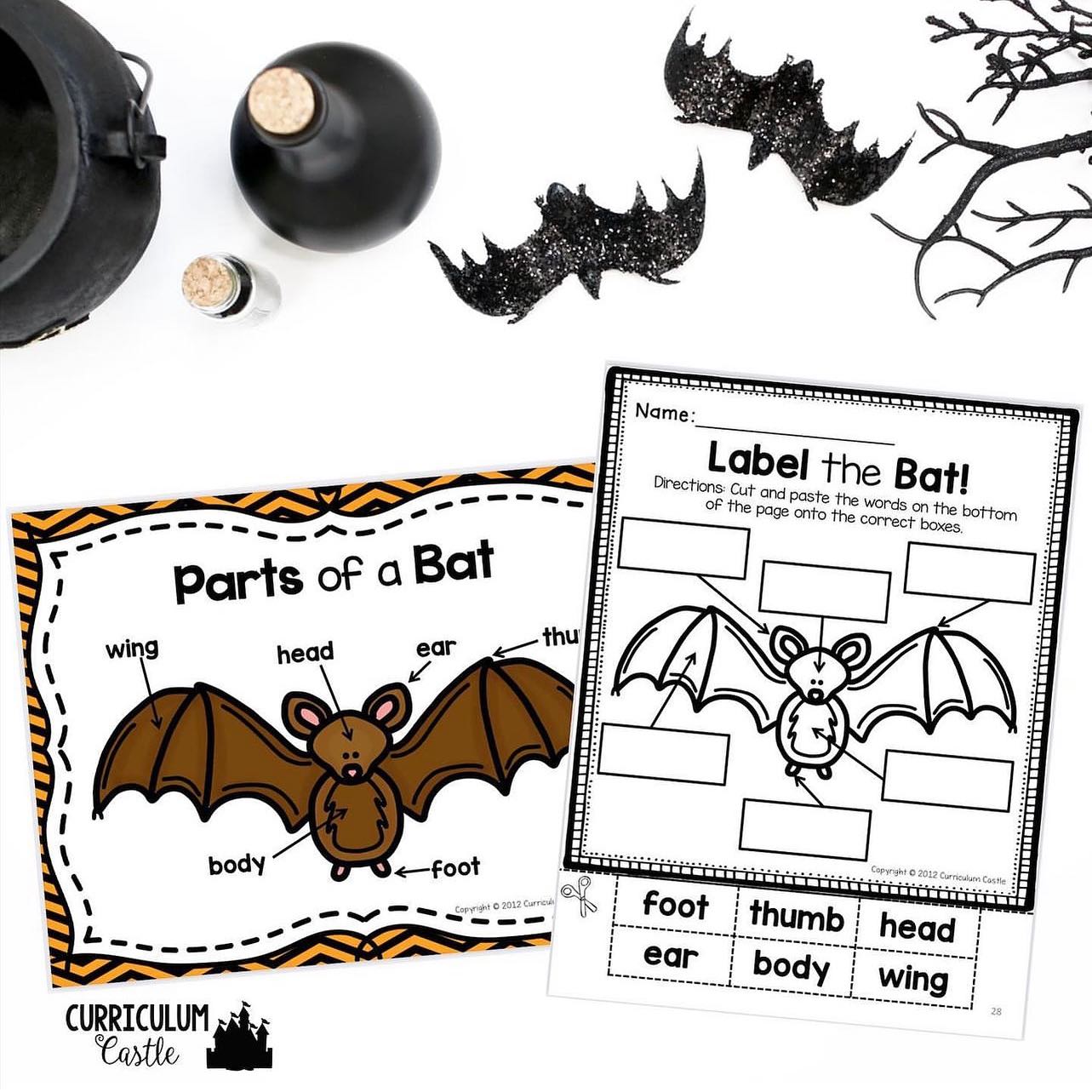 Label the parts of a bat! 🦇 Included... - Curriculum Castle