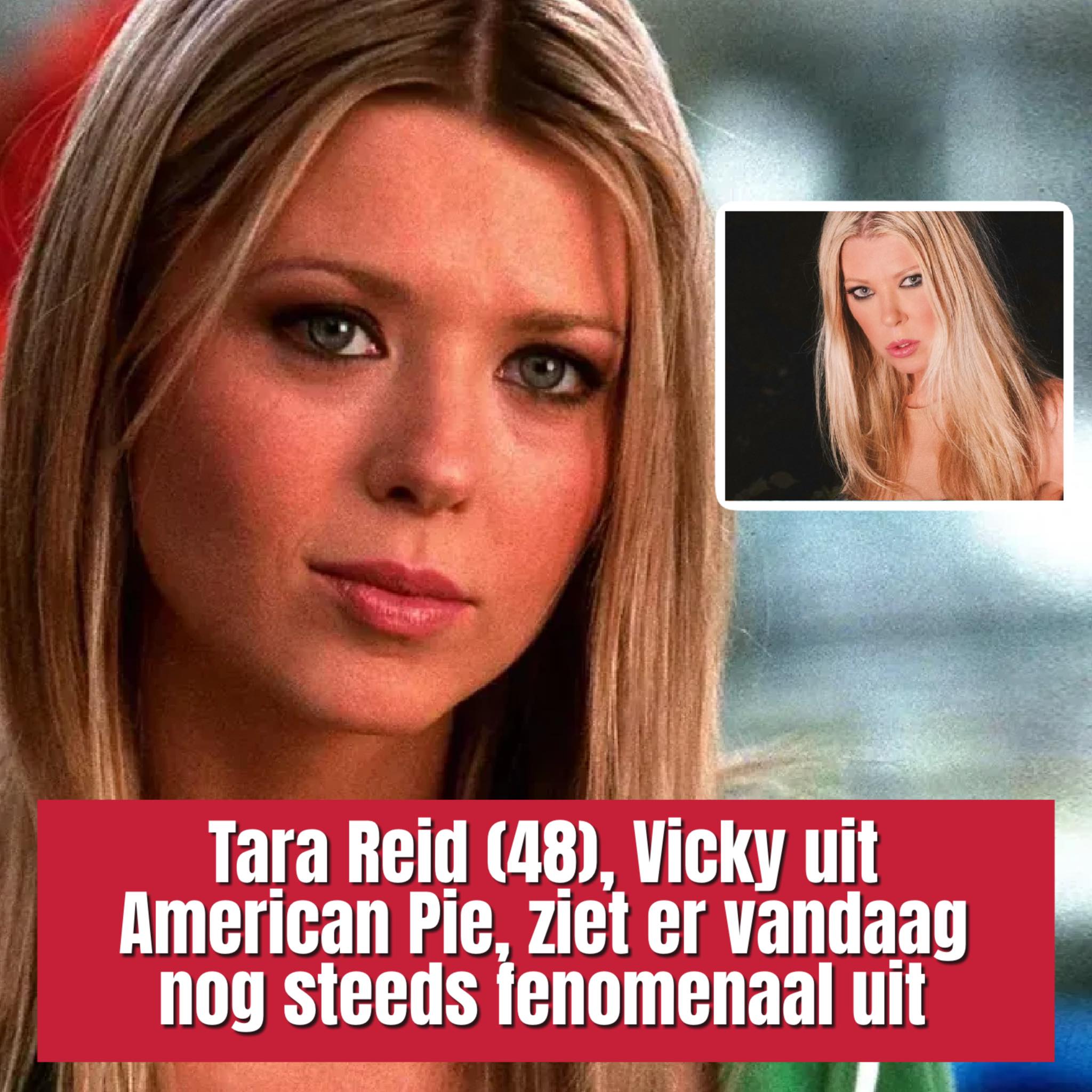 Timothy Ken Je Ze Nog De Legendarische American Pie Actrice Ziet Er