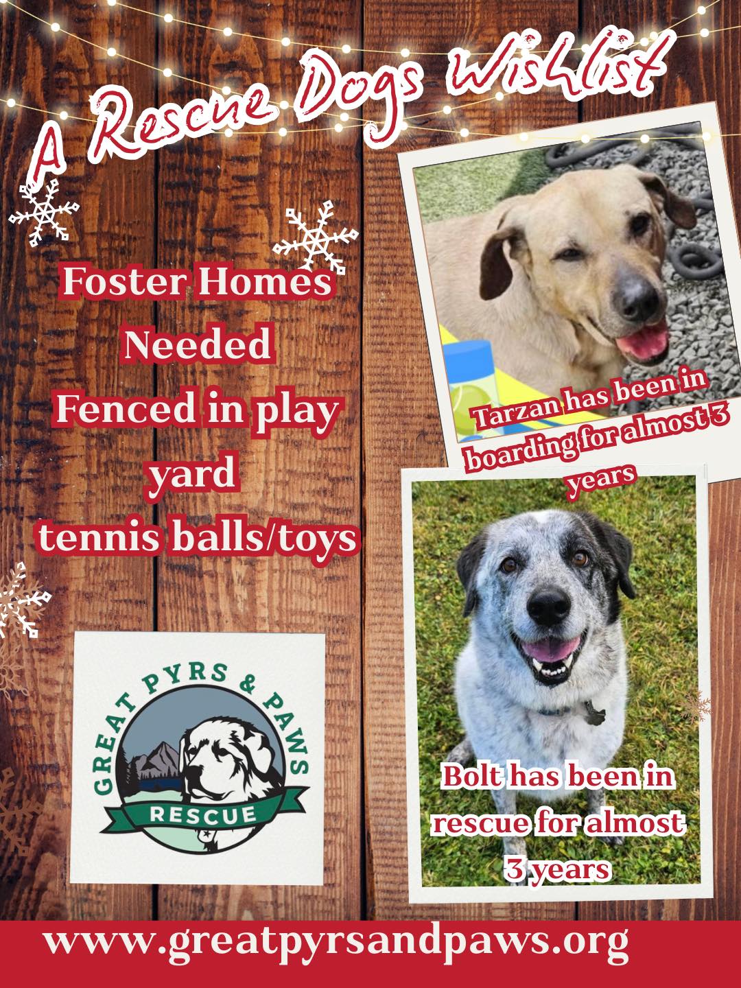 Kitsap Dog , Cats and Pets (Freebies, Pet Lovers, Adoption, Sittingetc ...