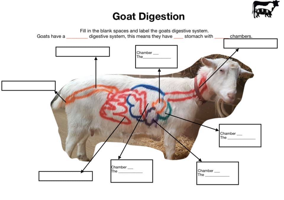 Today’s worksheet is on goat... - Agricultural Science Unit