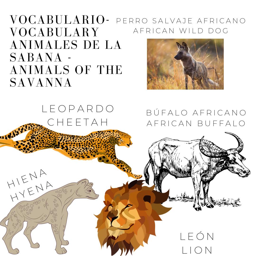 ¡Aprendamos cuales son los animales de... - SpanishPanama.com | Facebook