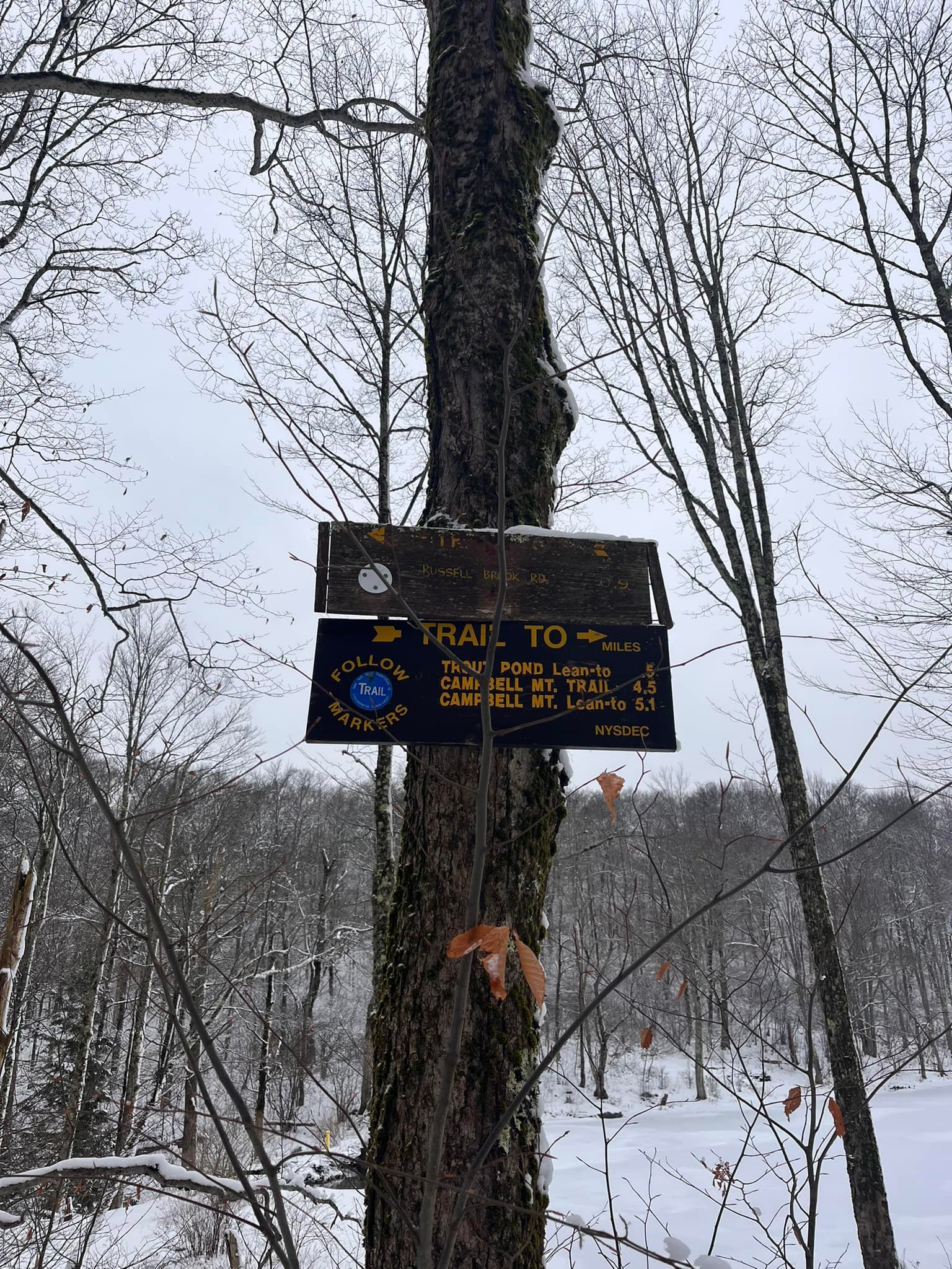 Butternut Grove Campsites