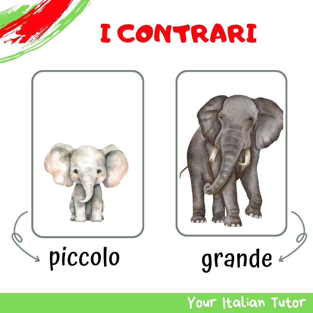 Learn Italian with "Your Italian Tutor"