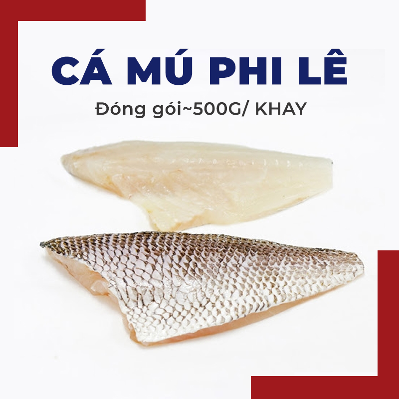 Cá Mú Phi Lê 🐟 Ngon Miệng Tiện Sashimi King Tphcm