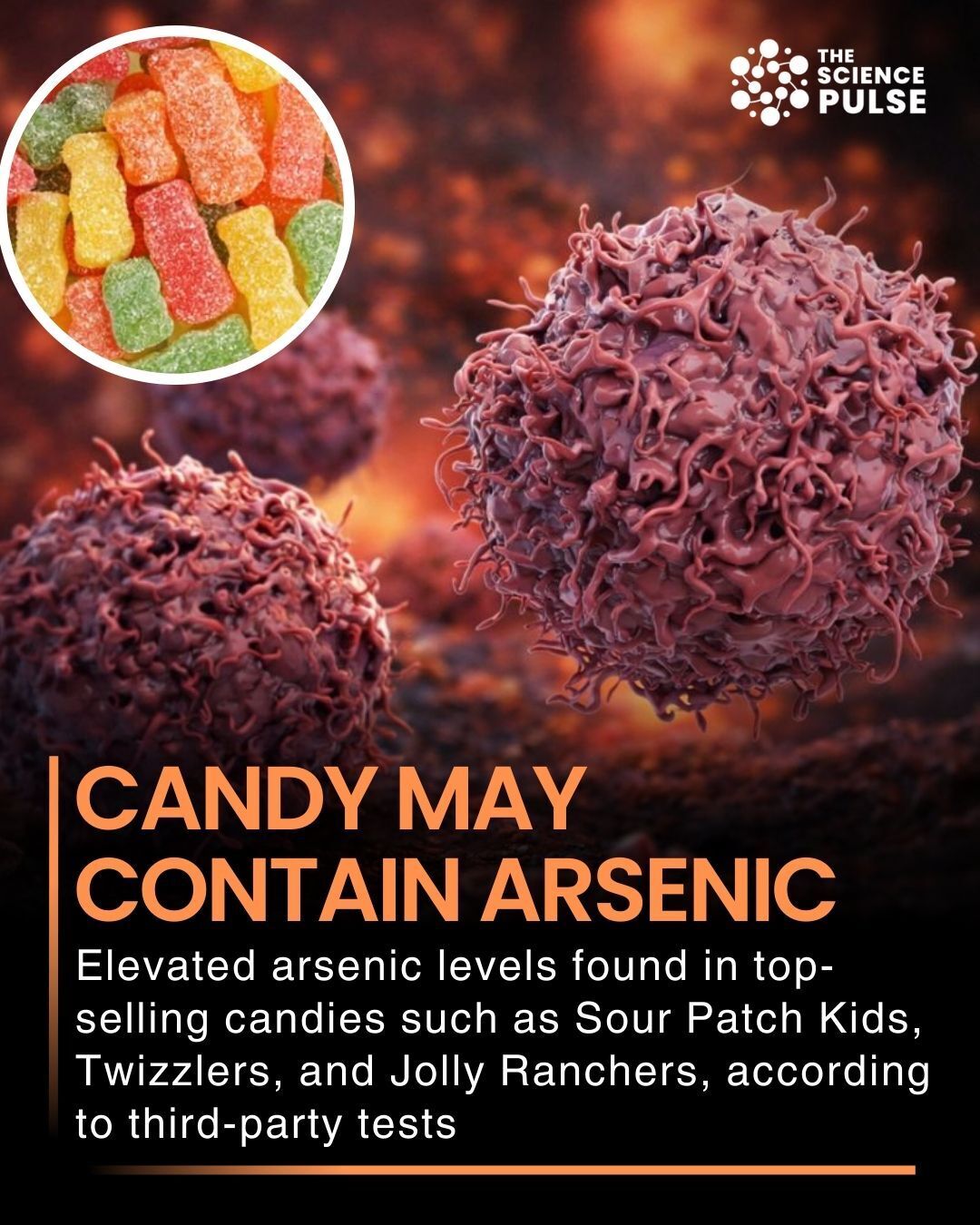 The Science - Third-party testing has revealed that some of the most ...