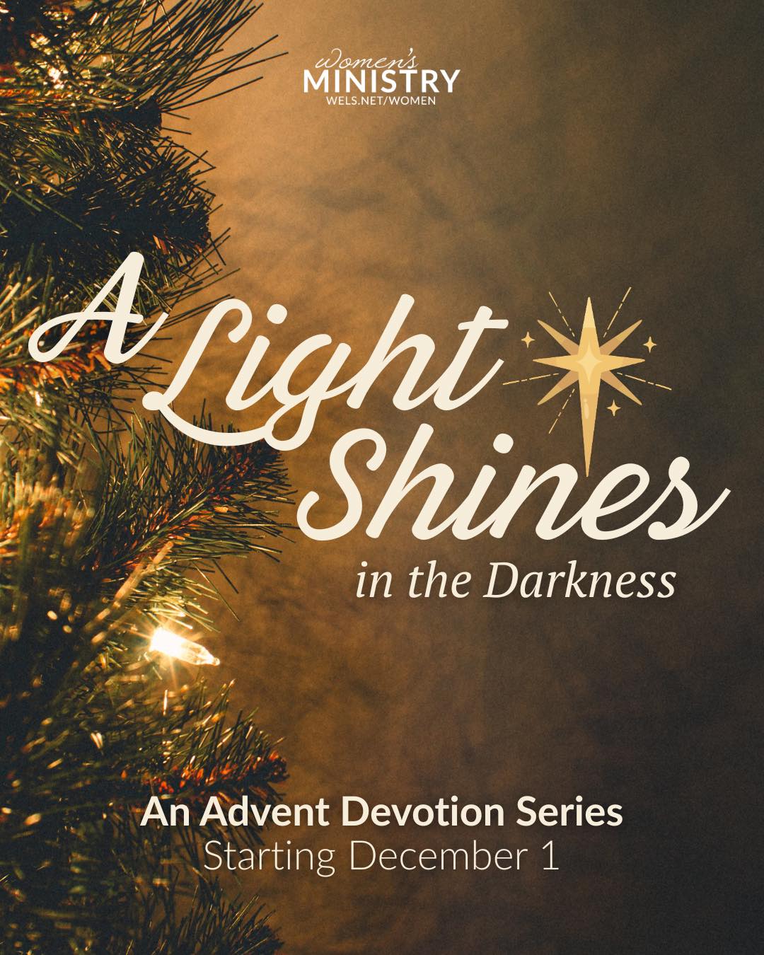 WELS - In the northern hemisphere, December brings the darkest days of ...