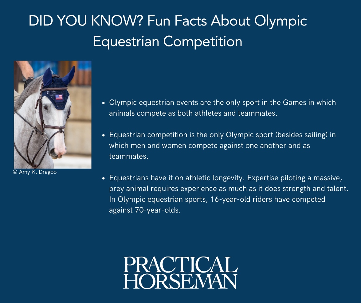 🇫🇷🐴 We already know the... - Practical Horseman Magazine | Facebook