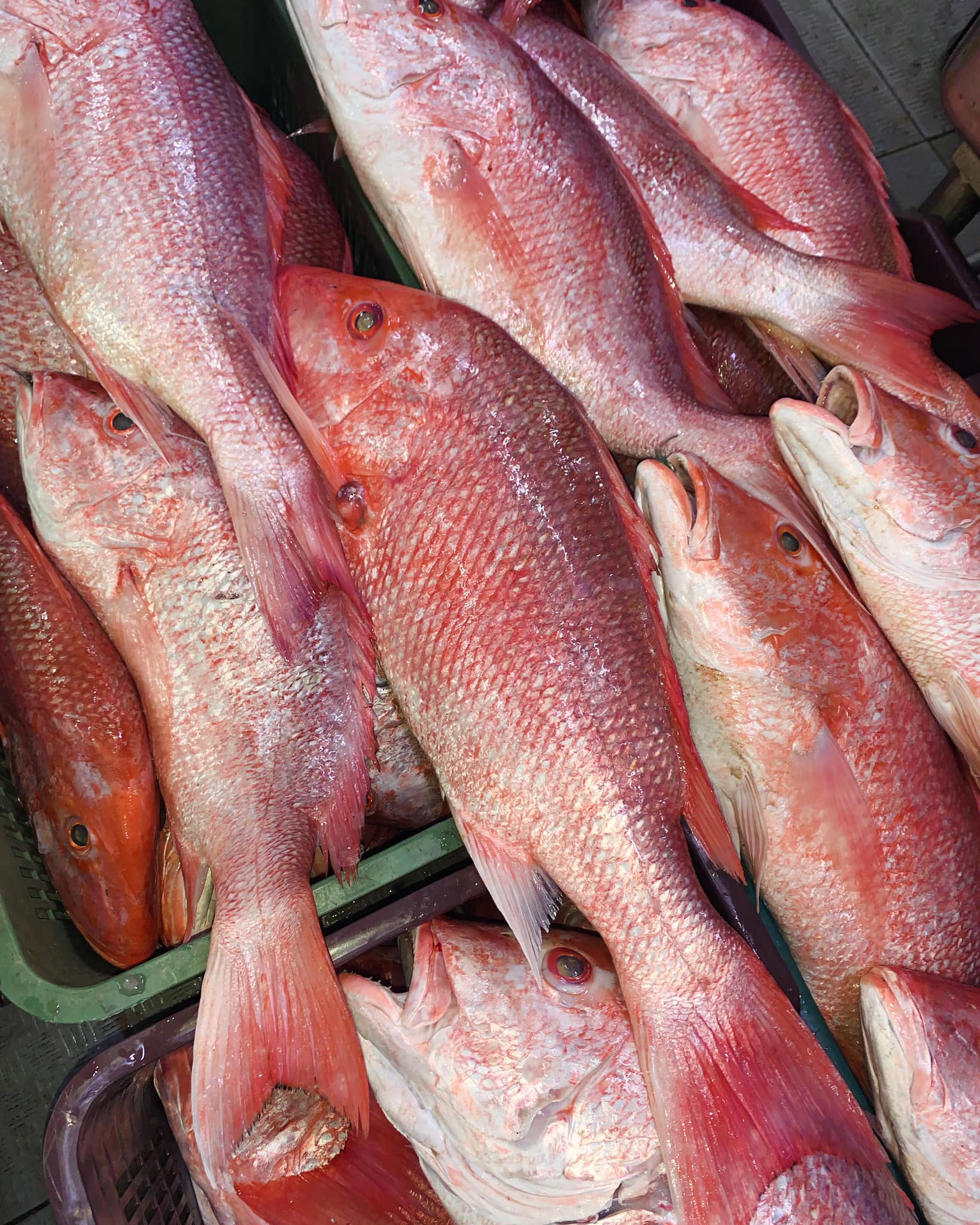 El Huachinango Del Golfo De Pescaderia La Costa Azul