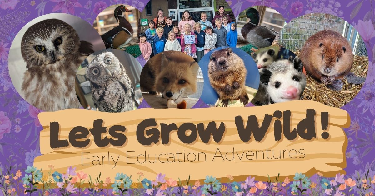 Let's Grow Wild: Ambassador Enrichment