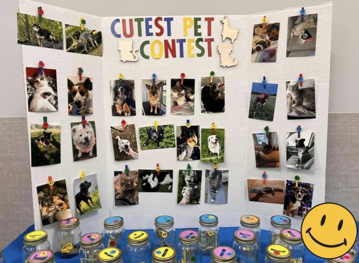 Walmart - Voting for our Cutest Pet Contest has started! Be sure to ...