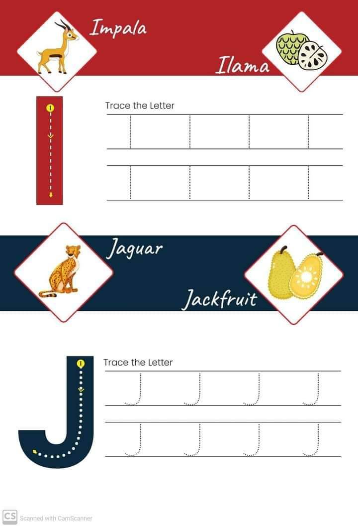 Teaching Resources