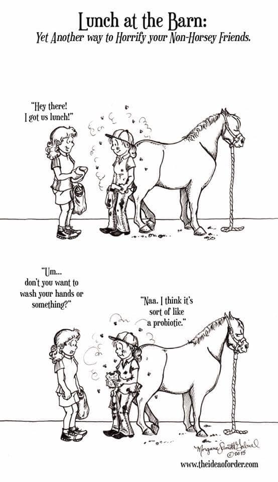 Hartmeyersaddlery Hartmeyer Saddlery