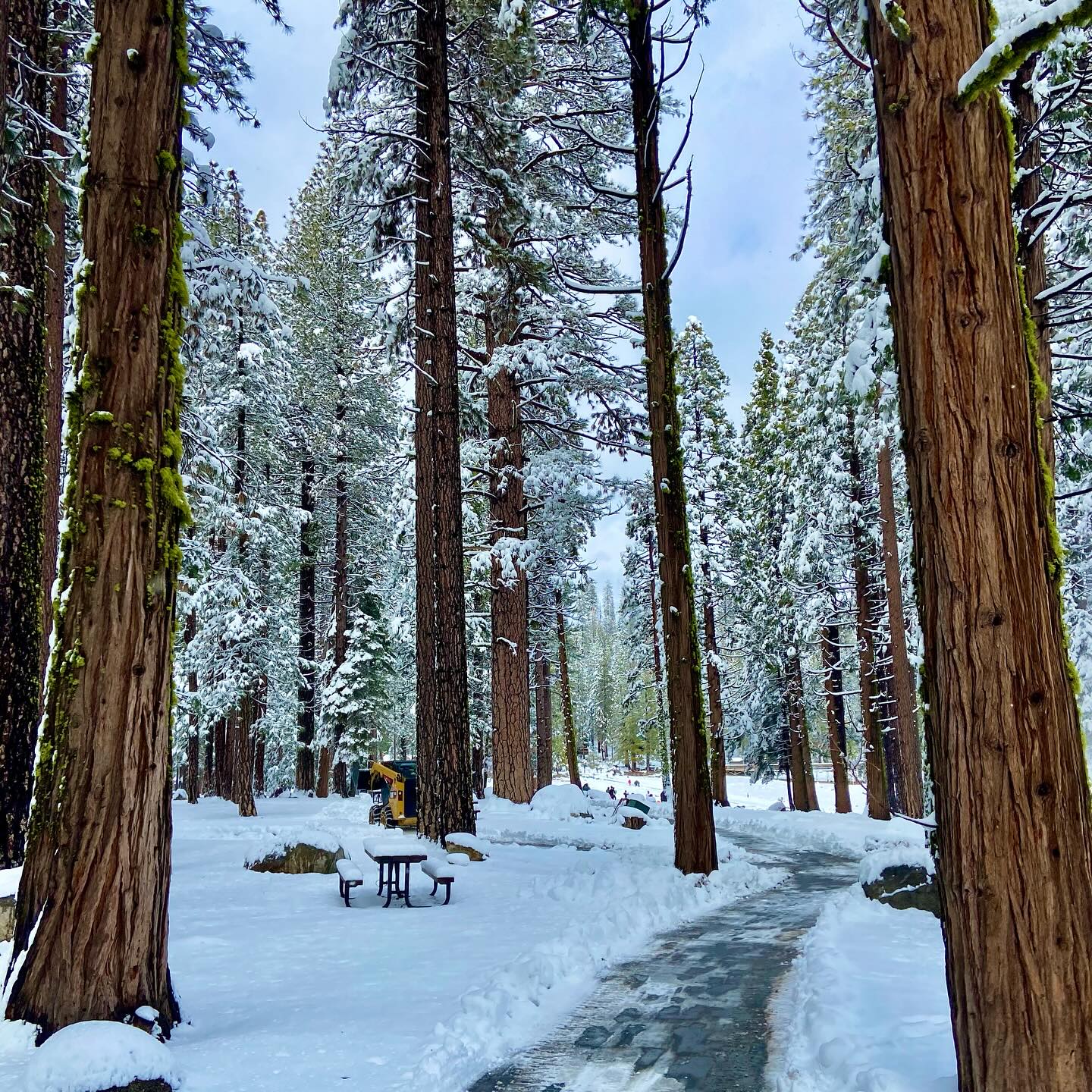 Visit Pinecrest Pinecrest Ca 1346