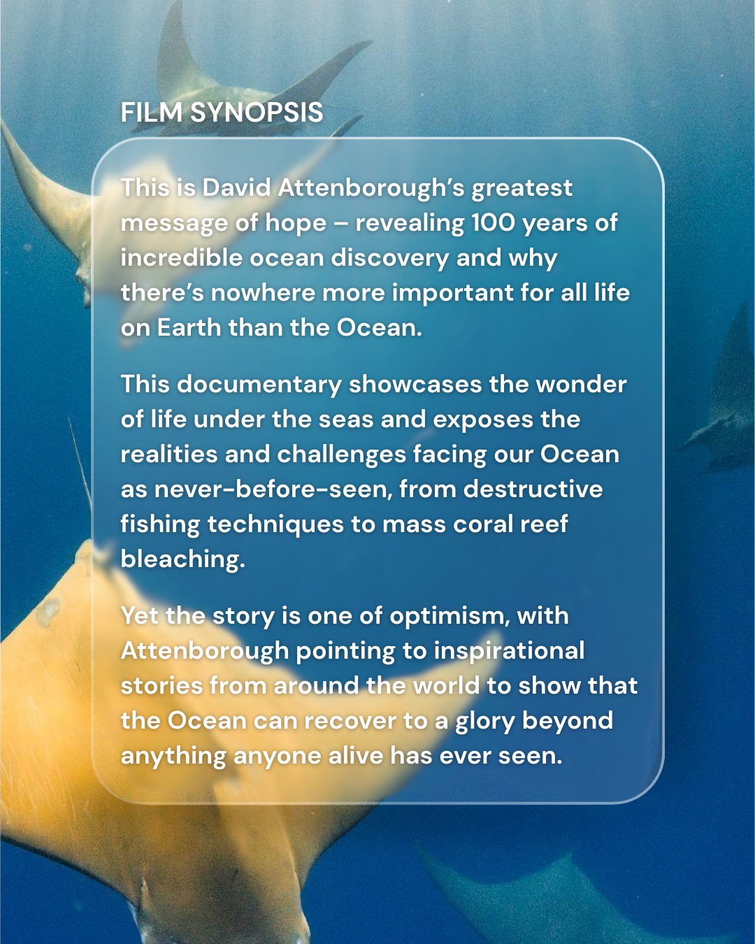 Ocean Literacy Unesco IOC