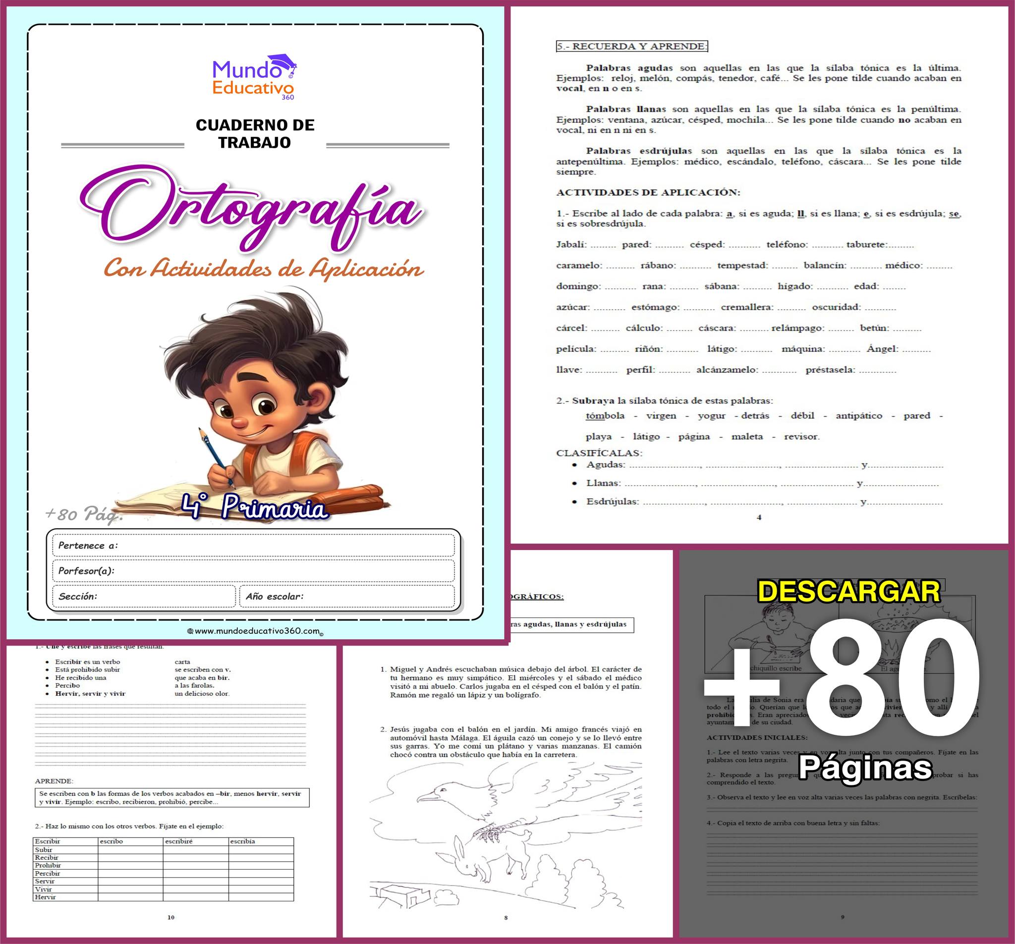 Cuaderno de Trabajo ORTOGRAFÍA "4°... - Mundo Educativo 360