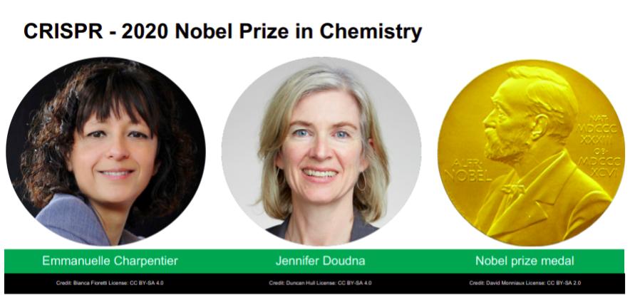 EMBL - 🔬🧬 Did you know? The 2020 Nobel Prize in Chemistry was awarded ...
