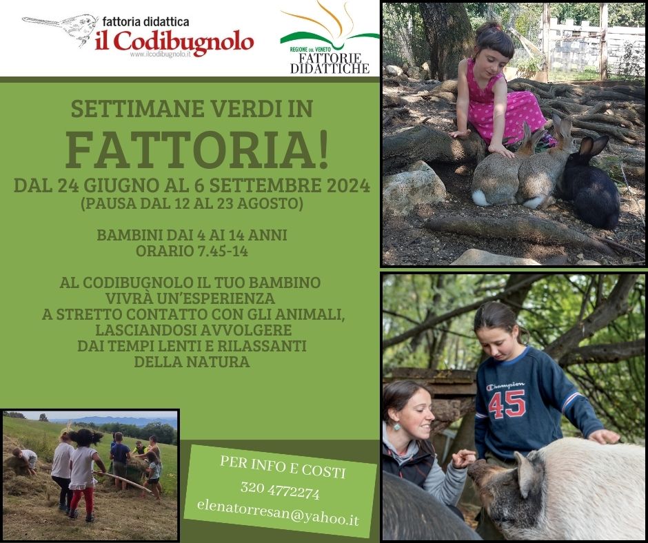 ...a chi ha voglia... - Fattoria didattica "il Codibugnolo" | Facebook