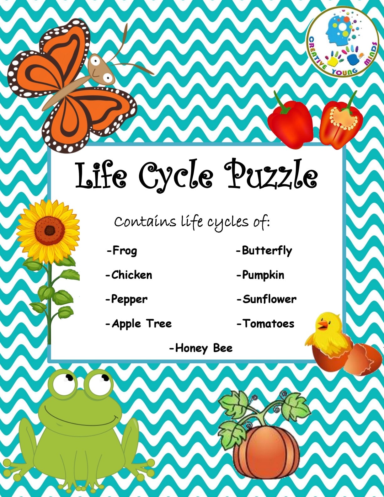 Life cycle puzzles 😍 9 life cycles for... - Magical Teaching