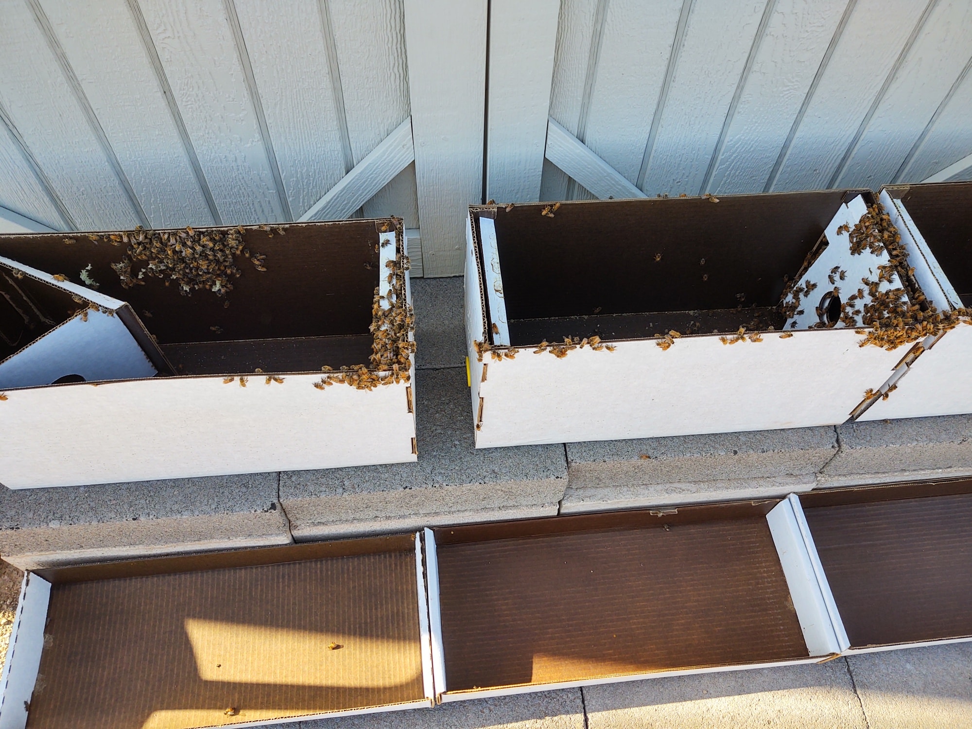 Tickle Me Honey The New Ladies Seen To Be Settling In