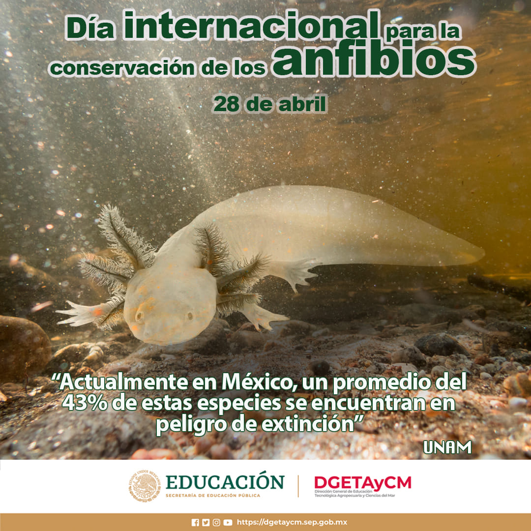 CBTA No. 285 - "28 de abril, Día Internacional para la...