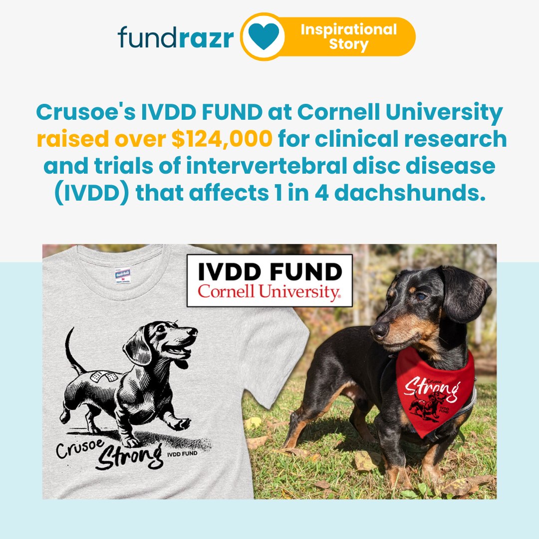 Fundrazr Crusoe Has Battled Intervertebral Disc Disease Ivdd For Many Years This Disease