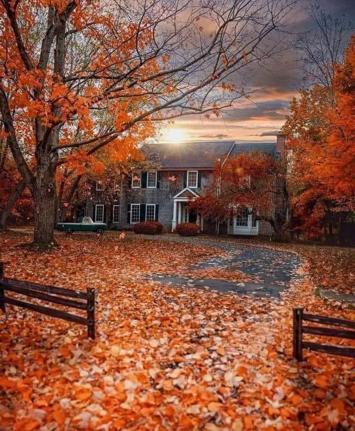 All the Fall Things