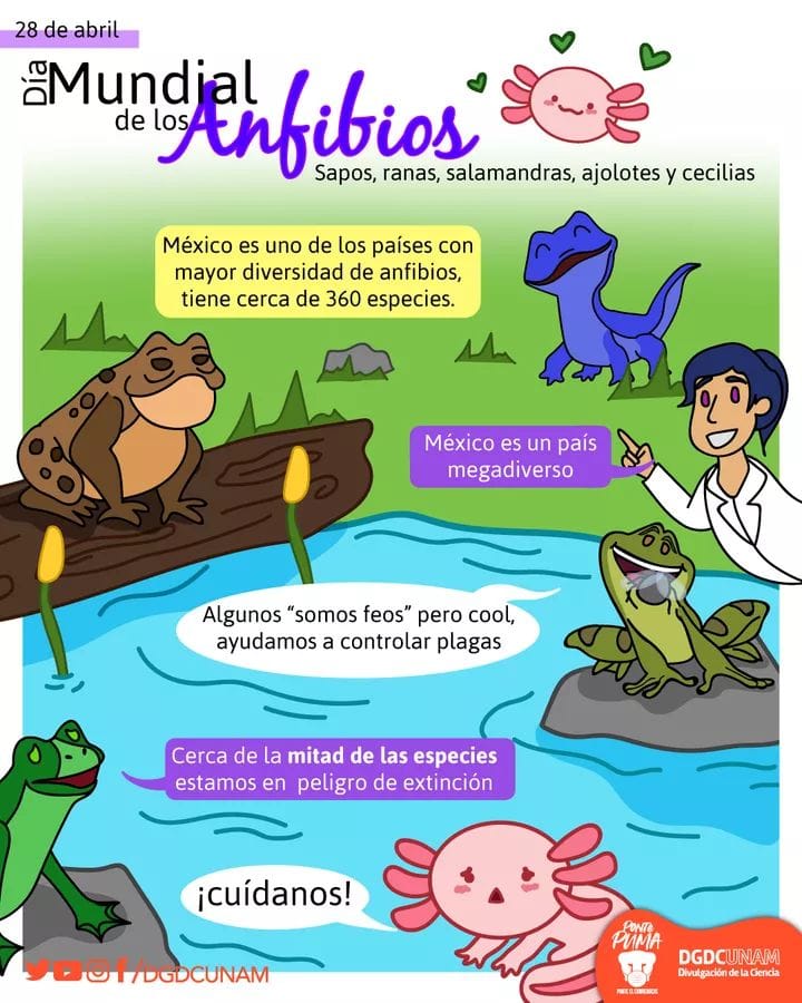 Centro Psicopedagógico "Vivir en Armonía" - #UnDiaComoHoy celebramos a ...