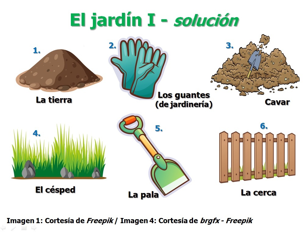 🇬🇧*The garden I - Answers - Continue... - Mucho Mucho Spanish