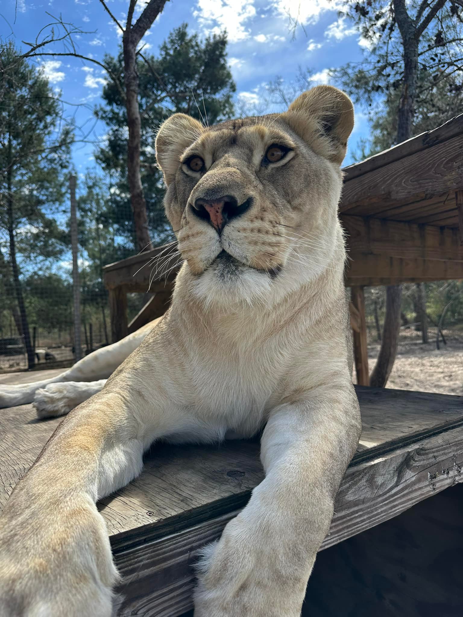 Safari Sammie Safari Sammie Added A New Photo