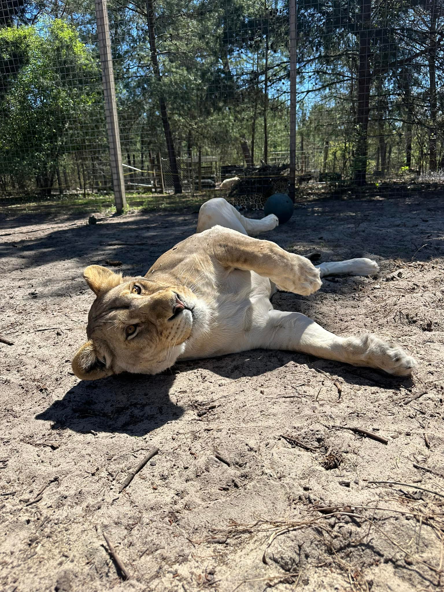 Safari Sammie Safari Sammie Added A New Photo
