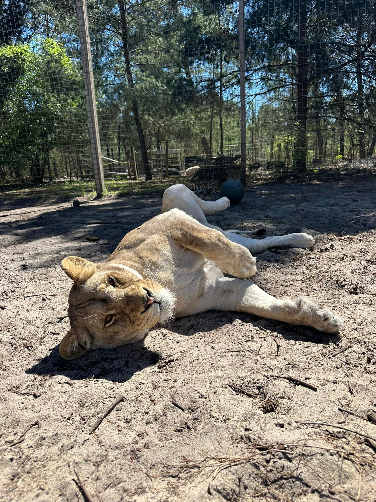 Safari Sammie Safari Sammie Added A New Photo