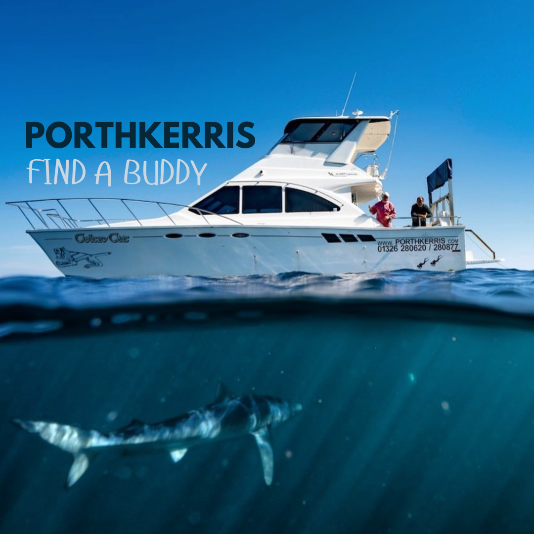 PORTHKERRIS: FIND A BUDDY | Facebook