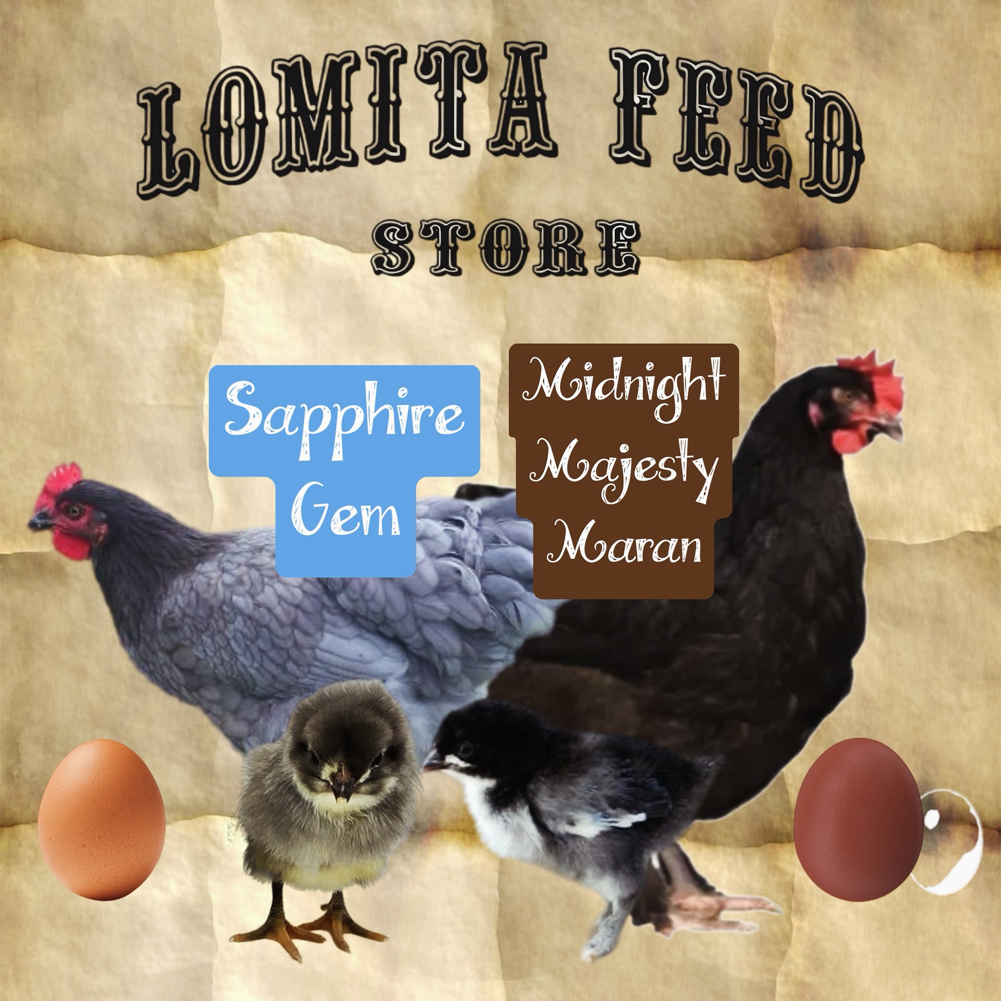 Lomita Feed Store Photos
